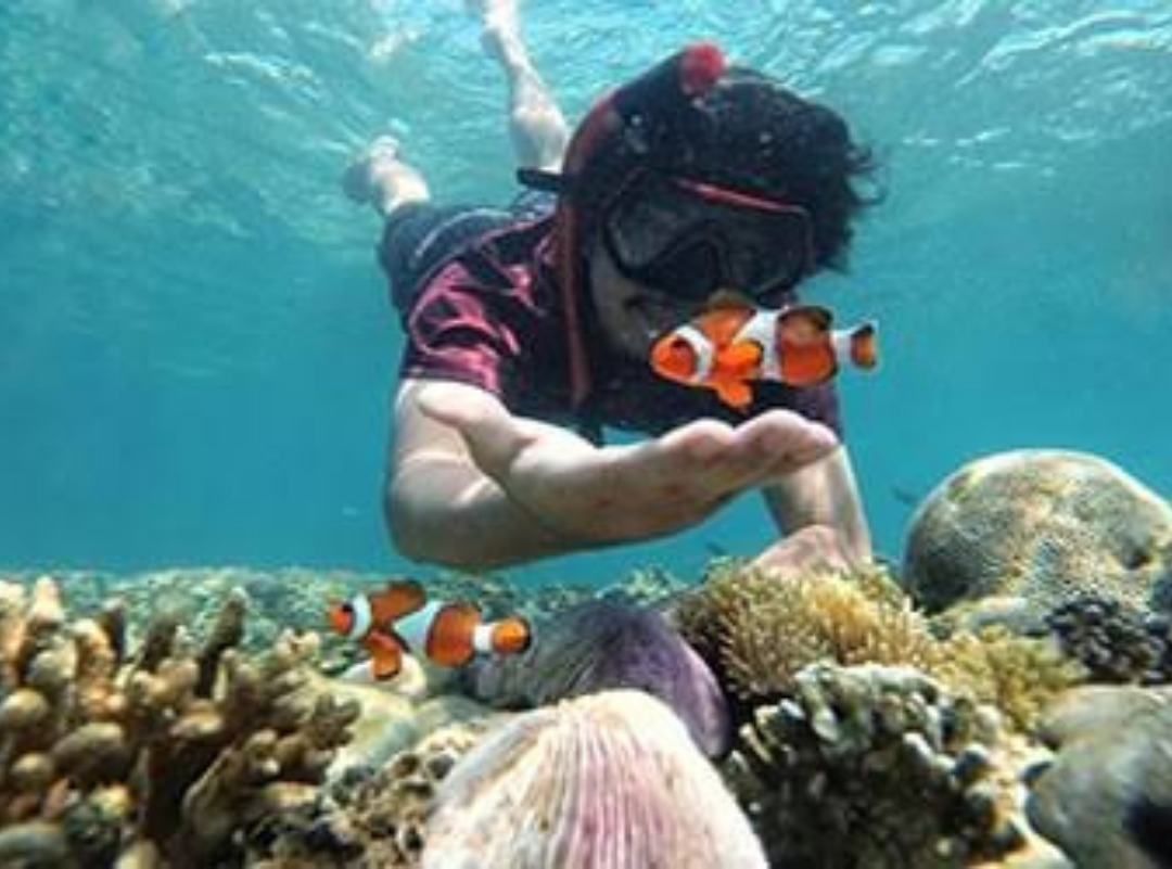 Open Trip Pulau Seribu 1 Hari - Seribu Usaha